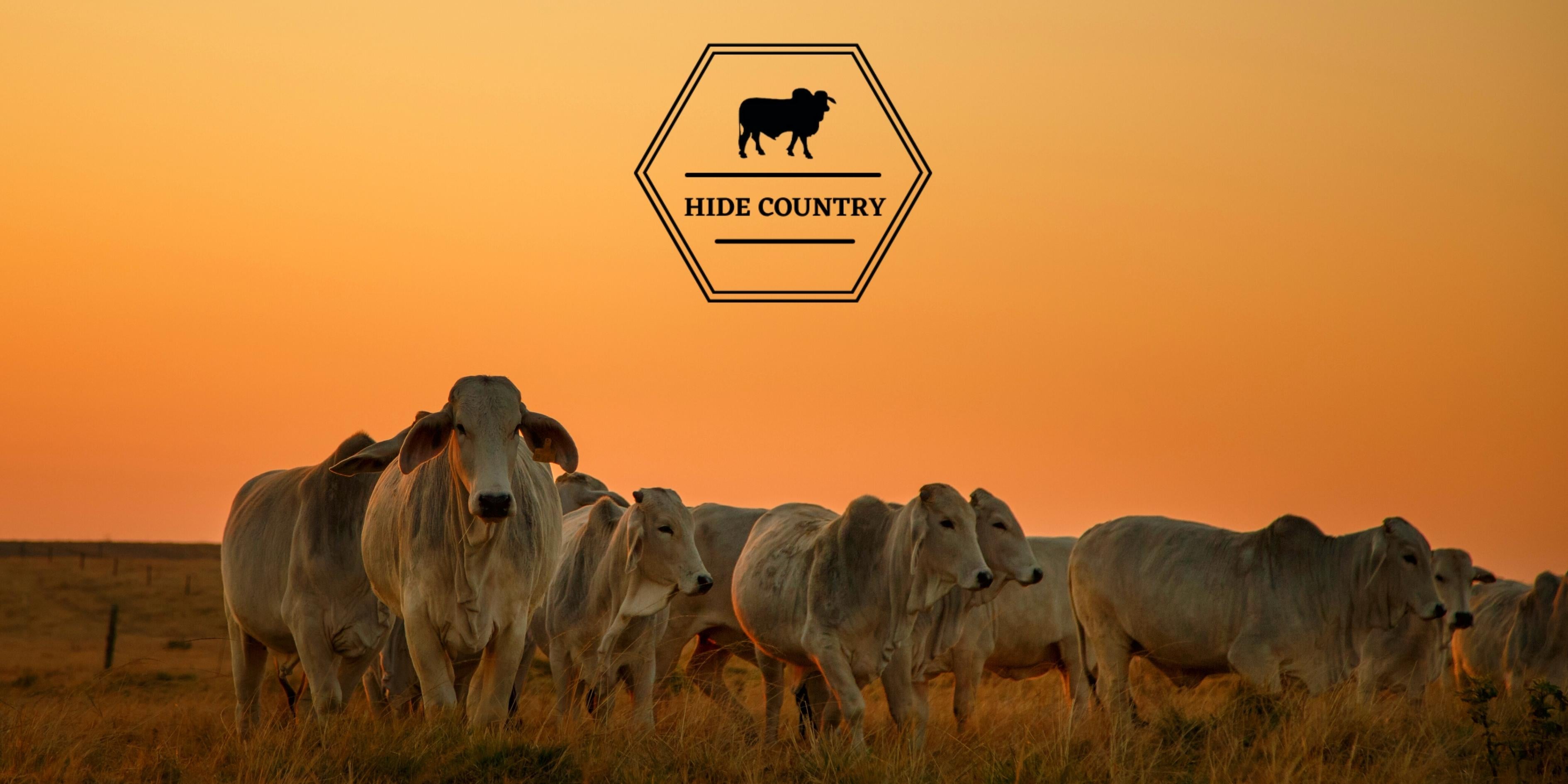 Hide Country – hidecountry
